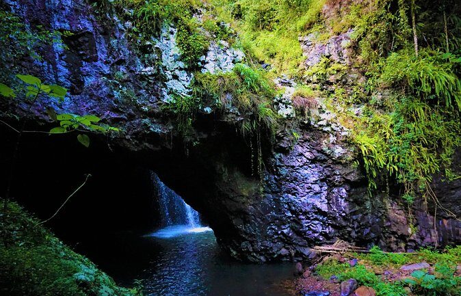 Glow Worms + Day/Night Rainforest & Waterfalls Experience - Real Experiences from Tour Participants