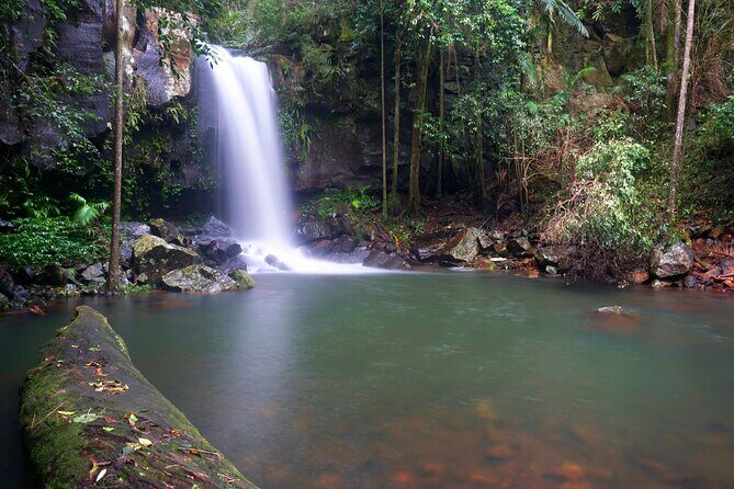 Glow Worms - Nocturnal Rainforest/Waterfall Adventure - The Waterfall and Star Gazing