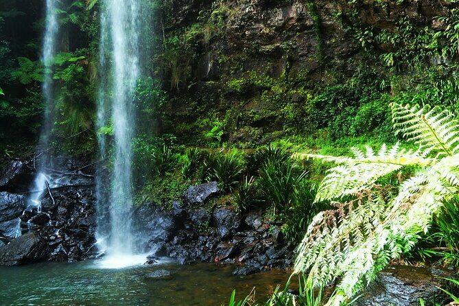 Glow Worms - Nocturnal Rainforest/Waterfall Adventure - Final Thoughts: Is It Worth It?