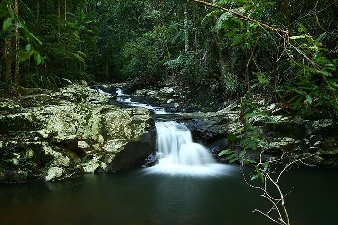 Glow-worms, Waterfalls & Rainforest Experience - Final Thoughts: The Best Value for Authentic Adventure