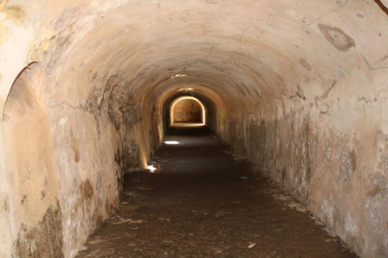 Gnatia Ruins and Archaeological Museum Private Guided Tour - What Travelers Say
