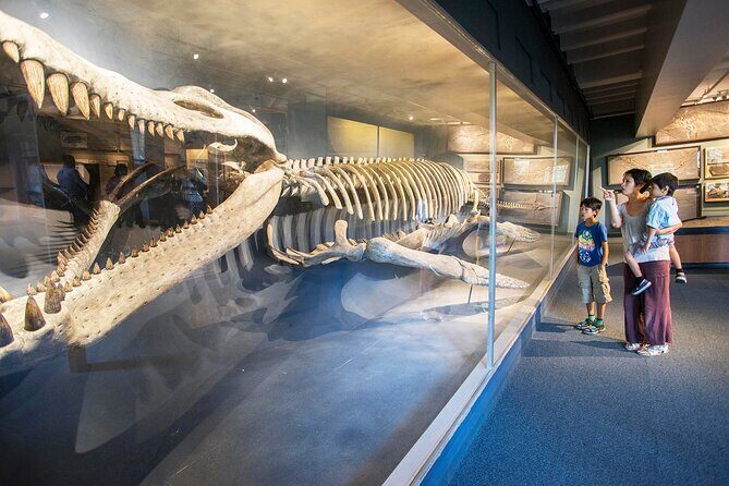 Go City: Boston Explorer Pass - Choose 2, 3, 4 or 5 Attractions - Who Will Find This Pass Most Useful?