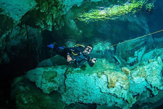 Go for 2 dives in cenote Dos ojos for certified divers - Real Experiences and Authentic Feedback