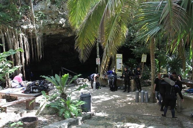 Go for 2 dives in cenote Dos ojos for certified divers - Who Is This Tour Best Suited For?
