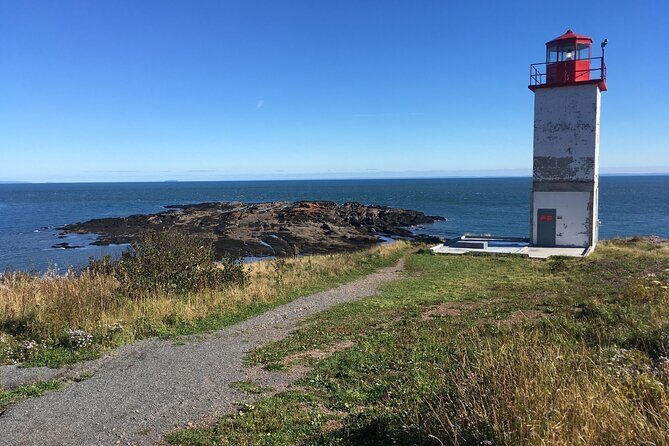 Go Fundy Tours - Analyzing the Value
