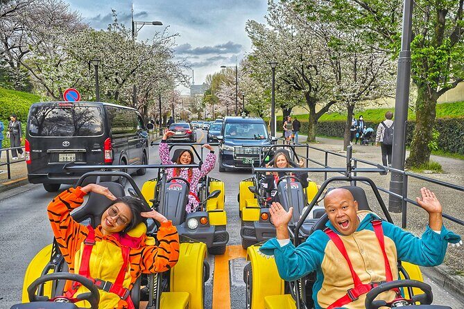 Go Kart Tokyo Spring Tour Experience - Key Points