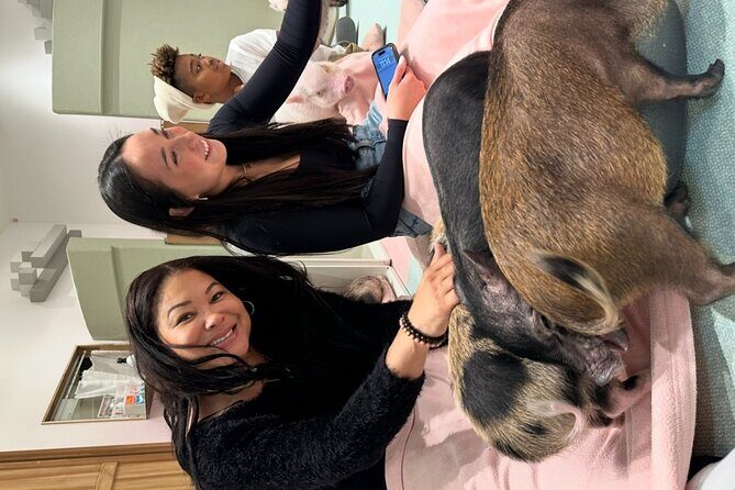 Go Local in Japan Private Tour - The Sum Up