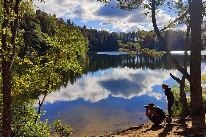 Go North  Private 1 Day Trip to Estonian Nature - Key Points