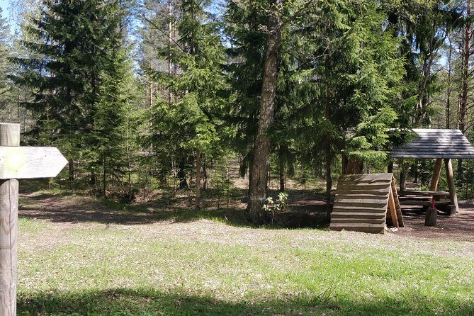 Go North  Private 1 Day Trip to Estonian Nature - The Practical Side