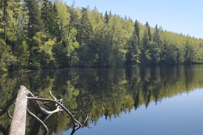 Go North  Private 1 Day Trip to Estonian Nature - Who Will Love This Tour?