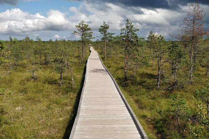 Go North  Private 1 Day Trip to Estonian Nature - Final Thoughts