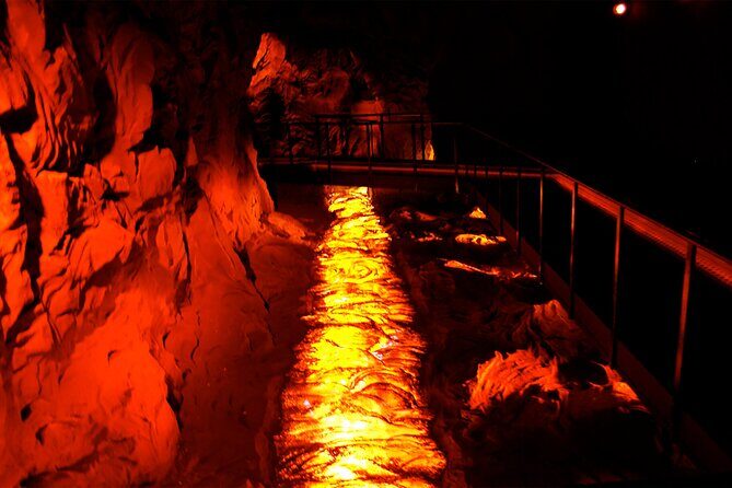 Go North Tour - Madeira Island Excursion - FAQ