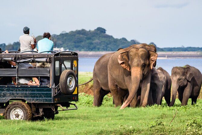 GO WILD! Double Safari Day Trip (Yala & Udawalawe) - Private & All Inclusive - Setting the Scene: What’s Included?