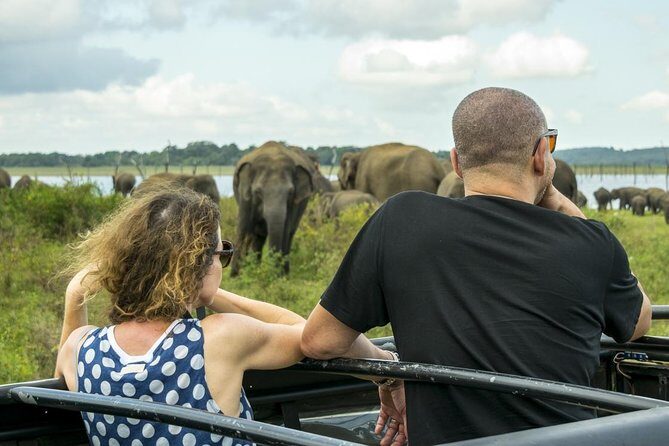 GO WILD! Double Safari Day Trip (Yala & Udawalawe) - Private & All Inclusive - Practical Tips for Your Safari Day