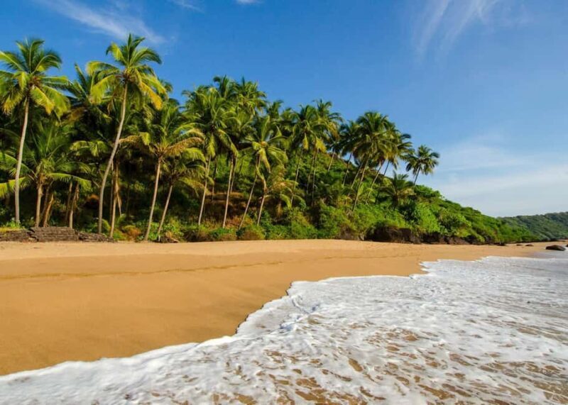 Goa: 5-Day Beaches, Forts, and Heritage Tour - Key Points