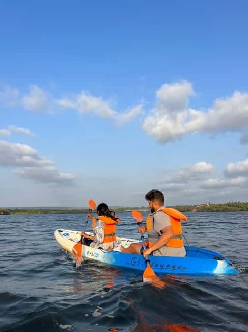 Goa: Backwater Kayaking Tour - Who Should Consider This Tour?