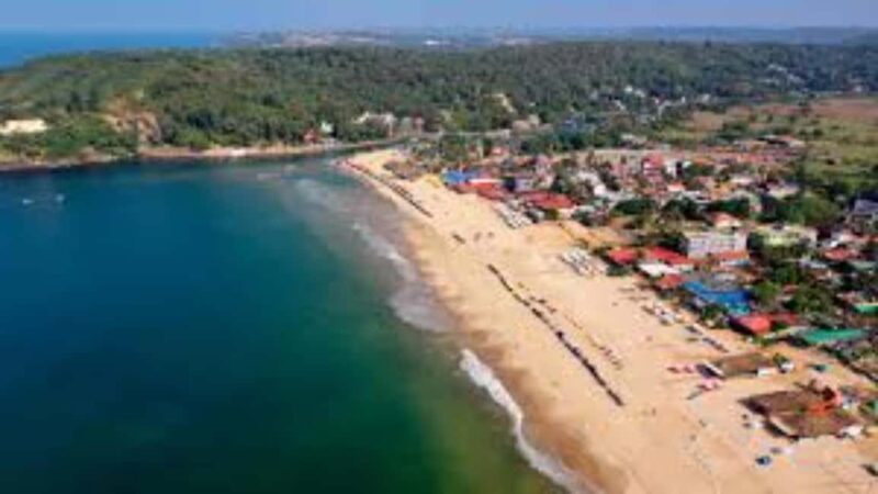 Goa: Baga Beach & The Basilica of Bom Jesus Highlights Tour - Cultural Flavors and Local Life
