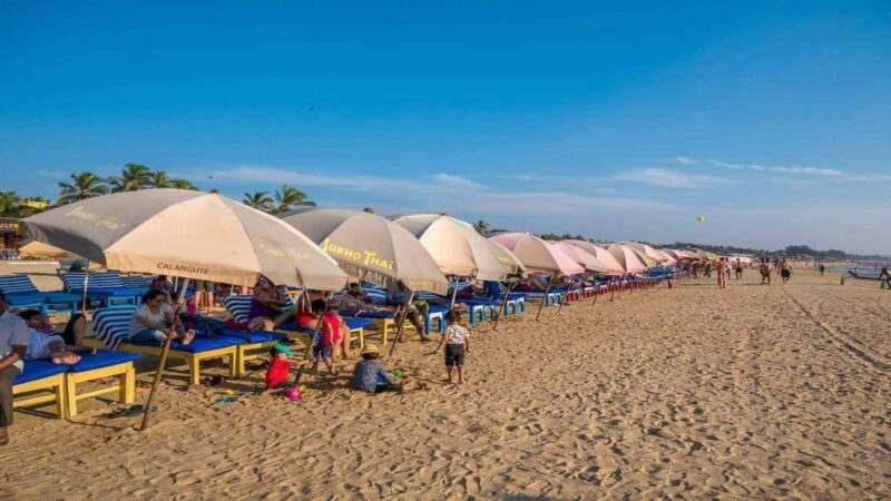 Goa: Baga Beach & The Basilica of Bom Jesus Highlights Tour - Is It Worth the Price?