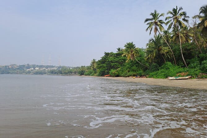 Goa Beach and Beer Tour - Who Will Appreciate This Tour?