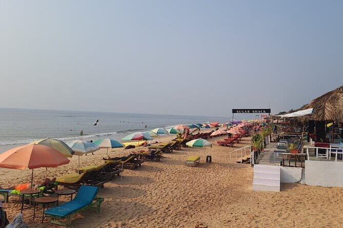 Goa Beach and Beer Tour - Final Thoughts: Who Is This Tour Best For?