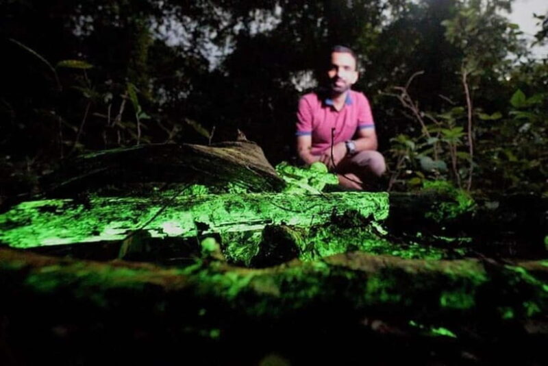 Goa: Bioluminescent Forest Night Trail with Guide - An In-Depth Look at the Bioluminescent Forest Night Trail