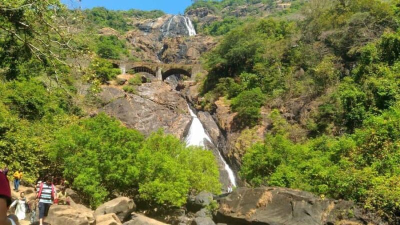 Goa: Dudhsagar Waterfall & Spice Farm Tour with Jeep Safari - An In-Depth Look at What’s Included
