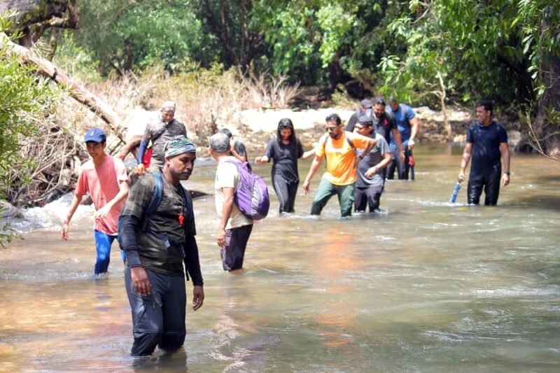 Goa: Forest and River Trail with local Breakfast and Lunch - Who Will Enjoy This Tour?