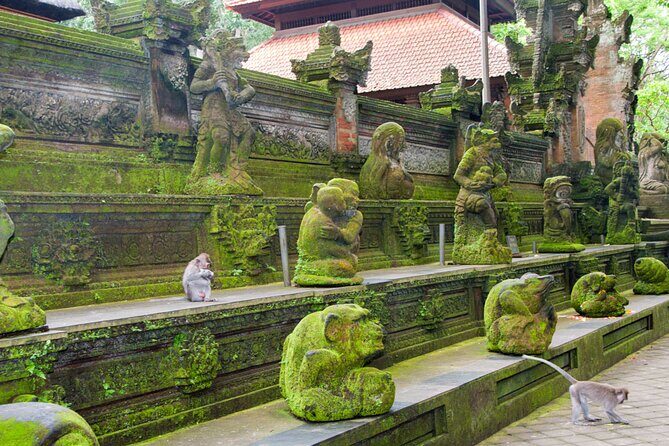 Goa Gajah / Elephant Cave Temple And Ubud Tour - All Inclusive - Who Will Love This Tour?