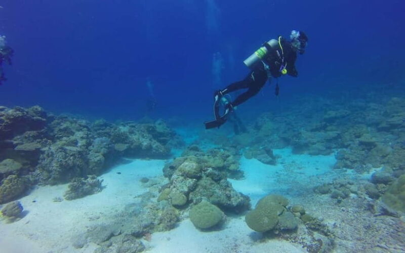 Goa: Grand Island Water Sports Combo Adventure - Pricing and Value