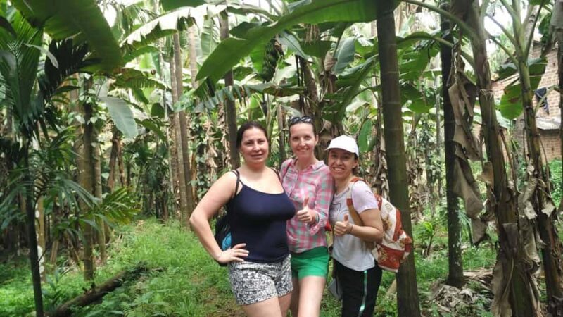 Goa in 1 Day Tour with Churches,Temples,Spice Farm Tour - An Introduction to the Tour Experience