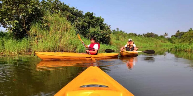 Goa Kayaking : Backwaters and Mangrove Kayaking Experience - Key Points