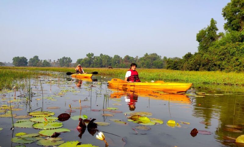 Goa Kayaking : Backwaters and Mangrove Kayaking Experience - FAQ