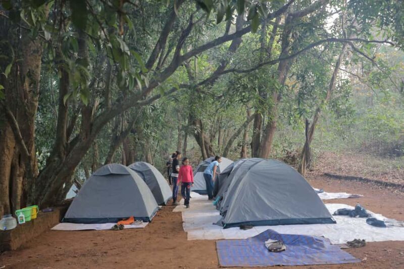 Goa :Overnight Camping, BBQ, Dinner, Night Trek, & Breakfast - Discovering Goa’s Wilderness: A Deep Dive into the Experience