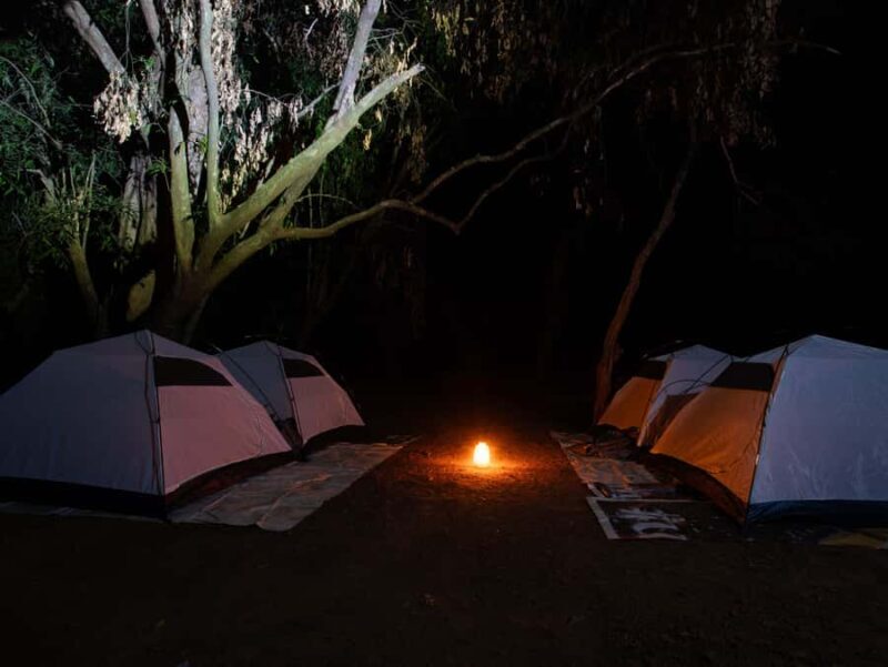 Goa :Overnight Camping, BBQ, Dinner, Night Trek, & Breakfast - The Sum Up: Is It Worth It?