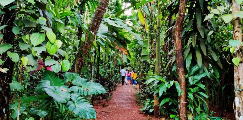Goa: Private Full-Day Sightseeing Highlights Tour - What Travelers Are Saying