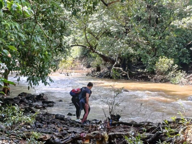 Goa: Relax by the Riverside Forest Day Out with Goan Cuisine - Key Points