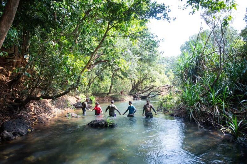 Goa: Riverside basic Adventures with Abseiling and Lunch - An Authentic Day of Adventure in Goa’s Forests and Rivers