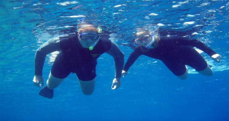 Goa: Scuba Diving Combo Package in Grand Island - An In-Depth Look at the Experience