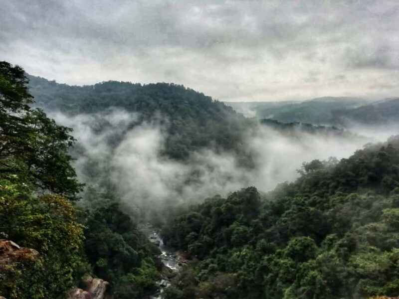 Goa: SIC Dudhsagar Waterfall and Spice Plantation Day Tour - Overview of the Experience