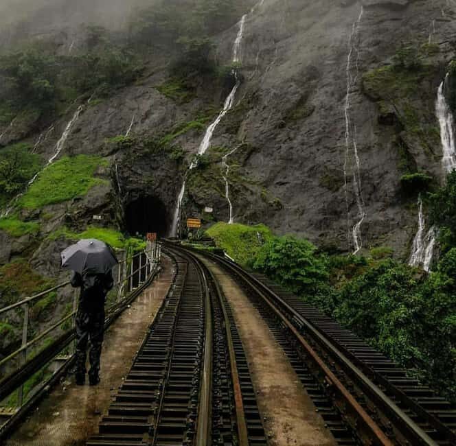 Goa: SIC Dudhsagar Waterfall and Spice Plantation Day Tour - The Practical Side