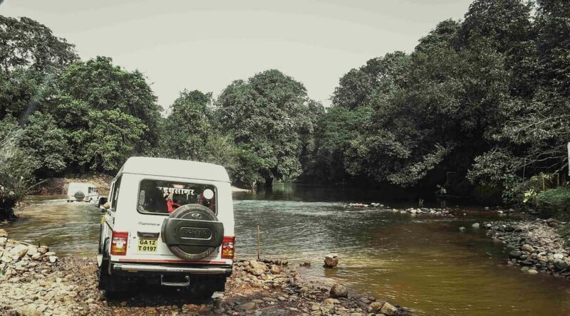 Goa: SIC Dudhsagar Waterfall and Spice Plantation Day Tour - What the Reviews Say