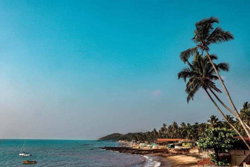 Goa: SIC North Goa Sightseeing Tour - What to Expect in Terms of Experience