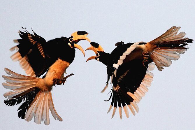 Goa to Anshi National Park, Extension to Wildlife Safari Tour - Final Thoughts