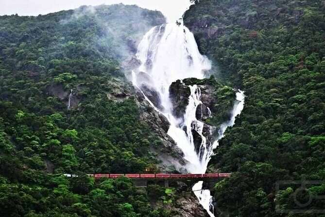 Goa to Anshi National Park, Extension to Wildlife Safari Tour - FAQ