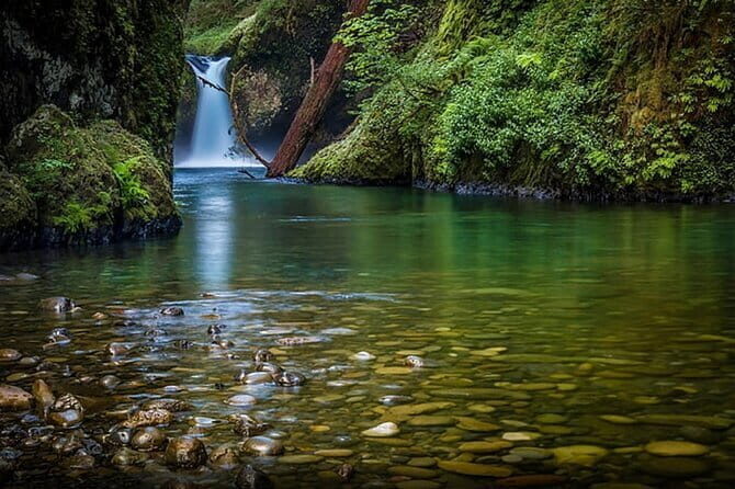 Goa to Jim Corbett: 3-Day Double Safari Wildlife Tour - Key Points