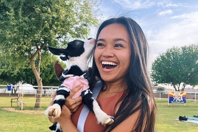 Goat and Alpaca Sound Bath - Gilbert Arizona - What is the Goat and Alpaca Sound Bath?