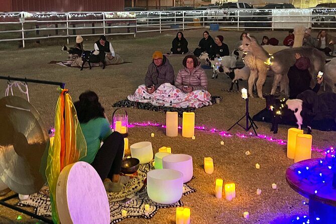 Goat and Alpaca Sound Bath - Gilbert Arizona - Accessibility & Group Size
