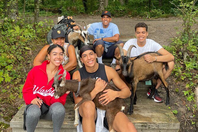 Goat Hiking, Beaver Dam Visit and picnic in Quebec forest - The Itinerary in Detail