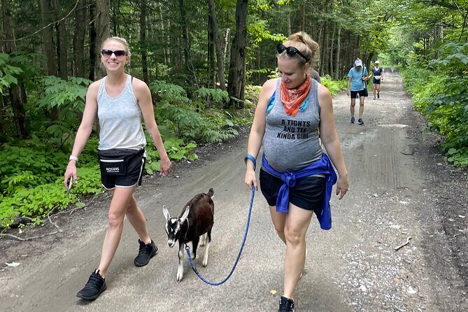 Goat Hiking, Beaver Dam Visit and picnic in Quebec forest - What Travelers Say