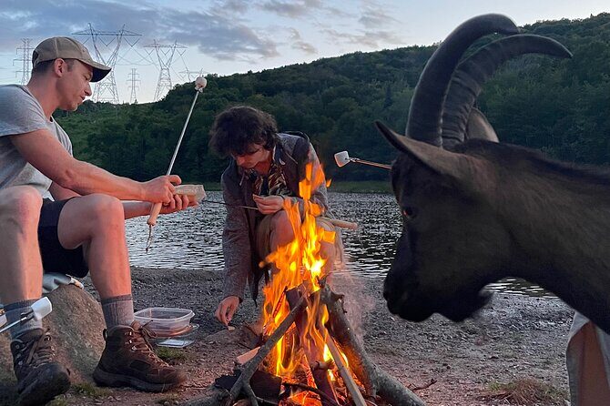 Goat Hiking, Beaver Dam Visit and picnic in Quebec forest - The Sum Up: Who Is This Tour Best For?